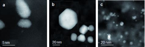 HAADF STEM Images Of A Pt SiO B Au SiO And C Download Scientific
