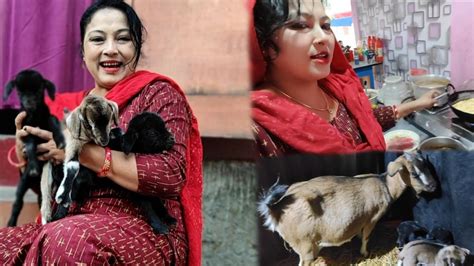 আমার ছাগলের কি কি বাচ্চা হয়েছে 😉 Goat Video Jaya Ghosh Youtube