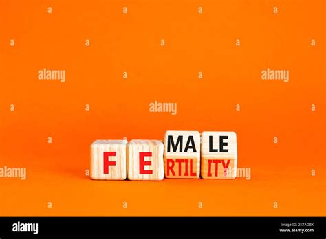 Female Fertility Symbol Concept Word Female Fertility On Wooden Cubes