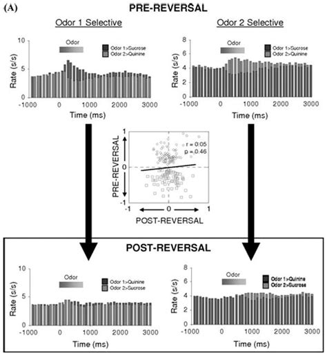 Reconciling The Roles Of Orbitofrontal Cortex In Reversal Learning And