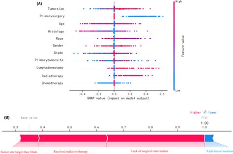 Application Of Interpretable Machine Learning Algorithms To Predict