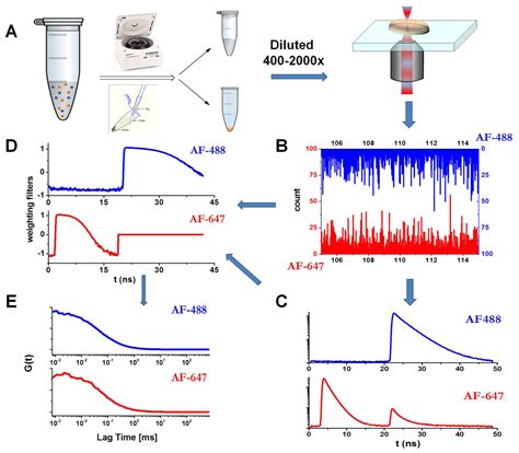 Ijms Special Issue Advances In Single Molecule Spectroscopy