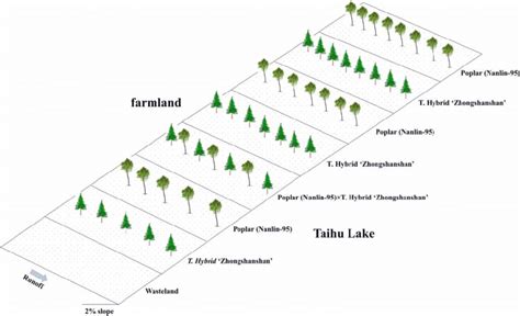 Layout Of Experimental Plots Download Scientific Diagram