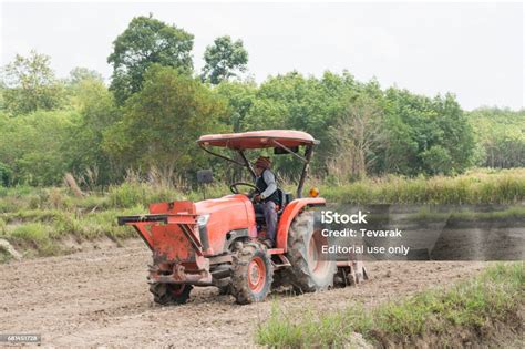 Nakhonphanom 4 월 30 일 2017 태국 태국의 농민 사용 하는 트랙터 쌀 재배를 위한 토양을 준비 건조 기후에 대한 스톡 사진 및 기타 이미지 Istock