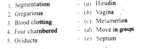 Tamil Solution Match The Following