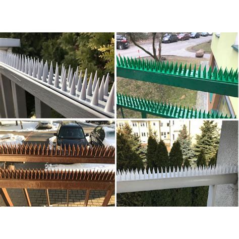 ШИП ПРОТИВ КОТКИ