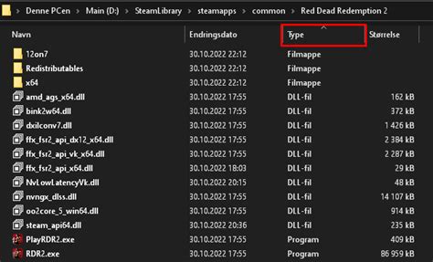 Activation Error R Rdr2