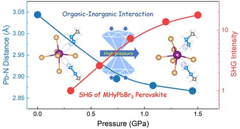 Pressure Modulated Anomalous Organicinorganic Interactions Enhance