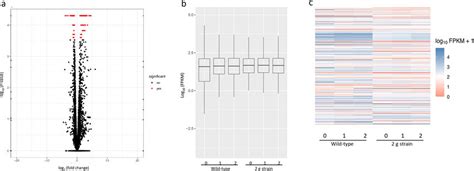 Transcriptomic Analysis Of Alkane Overproduction In N Punctiforme A Download Scientific