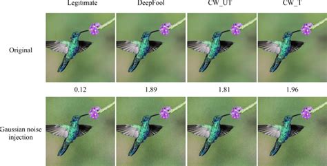An Illustration Of Gaussian Noise Injection The First Row Shows The Download Scientific