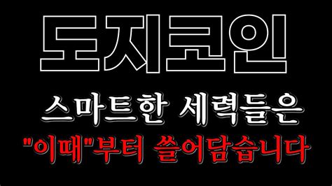 도지코인 전망 스마트한 세력들은 이때부터 쓸어담습니다 Youtube