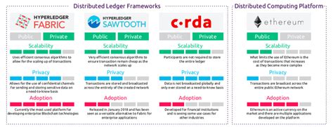 prominent distributed ledger technology platforms and their performance