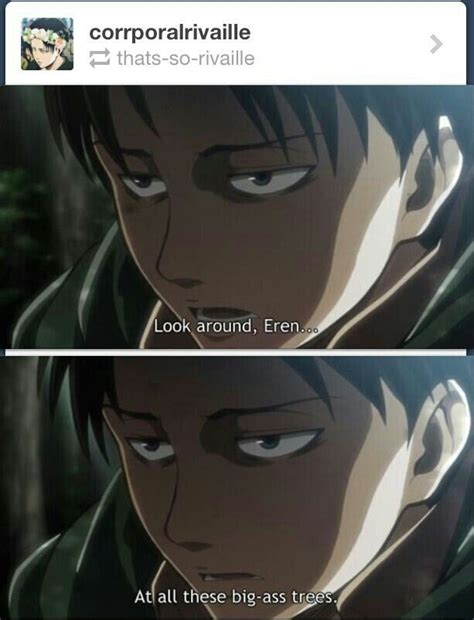 Pin On Attack On Titan