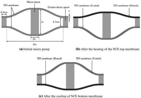 Sketch Of The Niti Actuator Cross Section E Is The Membrane Thickness