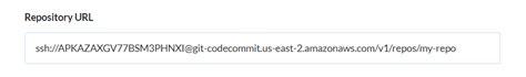 How To Integrate Aws Codecommit With Buddy Buddy The Devops