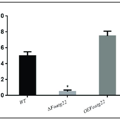 Quantitative Real Time Reverse Transcription Polymerase Chain Reaction Download Scientific