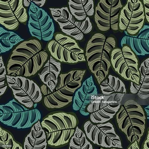열 대 잎과 완벽 한 패턴 손바닥 몬스 테라 정글 잎 원활한 벡터 패턴 어두운 배경 수영복 식물 디자인입니다 벡터 벡터 0명에 대한 스톡 벡터 아트 및 기타 이미지 Istock