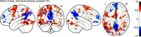 Analysis Of Task Based Functional Mri Data Preprocessed With Fmriprep Springer Nature Experiments