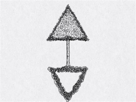 Tree Triangle Version By Cgterminal On Dribbble Tree Triangle Version By Cgterminal On Dribbble