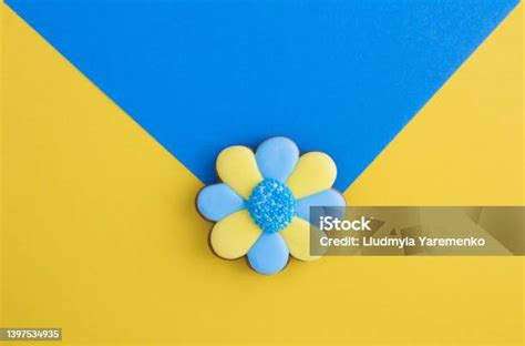 색깔이있는 배경에 파란색과 노란색 꽃잎이있는 꽃 형태의 진저 브레드 배경 상단 보기 공간을 복사합니다 0명에 대한 스톡 사진 및 기타 이미지 Istock