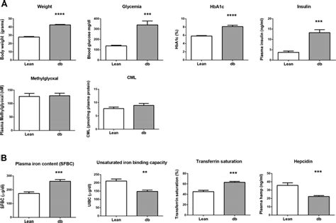 diabetic and iron indices in db db mice biomarkers that hallmark type