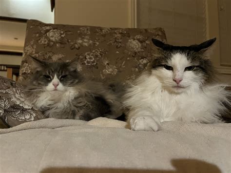 Visually Corrupted On Tumblr