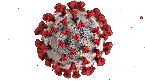 Jump Around Jump Around Jump Up Jump Up And Get Down Tm Times