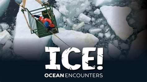 Photosynthesis Vs Chemosynthesis Woods Hole Oceanographic Institution