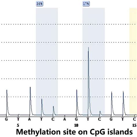 Detection Of Methylation Of Mgmt Gene Promoter Cpg Island Using