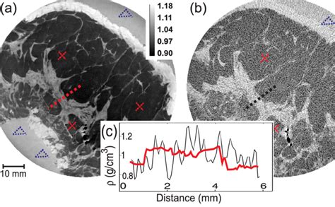 Distribution Of The Material Density In A Slice Of The Examined Sample Download Scientific