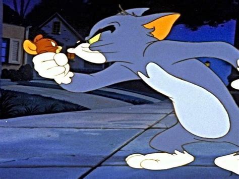 🔻 یعنی واسه یِ حسن فریدون کارتون تام و جری هم بذاری👇 عکس ویسگون