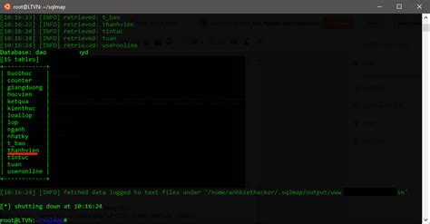 khai thác lỗ hổng sql injection sử dụng sqlmap Ở mức độ cơ bản