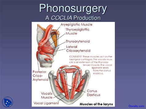 Introduction To Phonosurgery Otolaryngology Lecture Slides Docsity