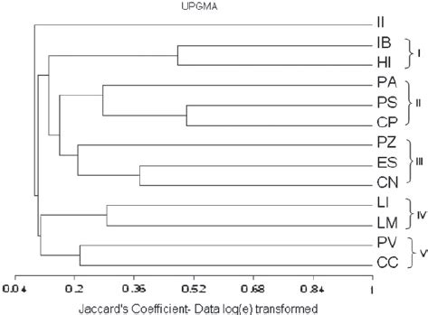 Upgma Diagram Shows Five Clustering Groups Iv Of Species One Download Scientific Diagram