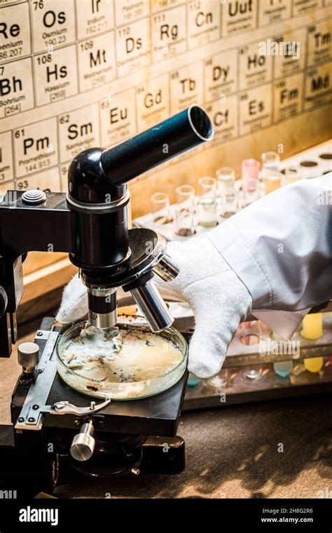 Academic Laboratory With Microscope And Sample Practical Chemistry