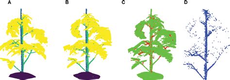 Frontiers 3d Data Augmentation Methods For Semantic Segmentation Of Tomato Plant Parts