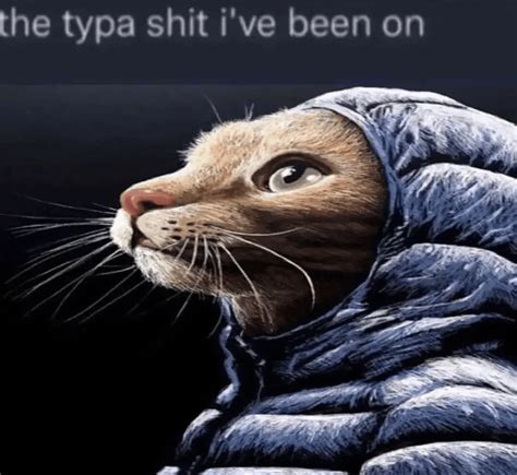 Hood Irony Cat Images Rwedoalittleposting