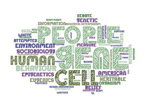 Biological Determinism Illustration Par Laurenejlevinson Creative Fabrica