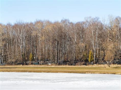 Spring Naked Forest On Frozen River Landscape Background Stock Photo