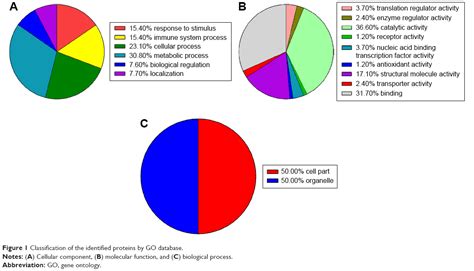 Identification Of Hspa8 As A Candidate Biomarker For Endometrial Carci