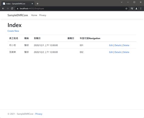 Devbricker Asp Net Core Mvc Crud
