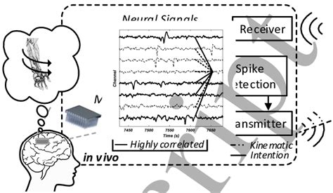 The Block Diagram Of The Designed Intention Aware In Vivo Bmi Download Scientific Diagram