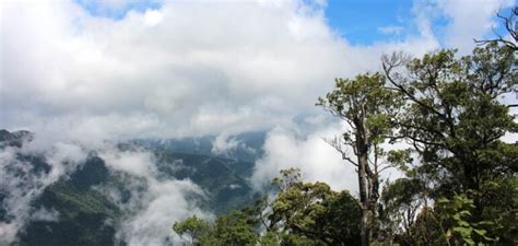 Vườn quốc gia Vũ Quang Hà Tĩnh Trang thông tin quốc gia về bảo tồn thiên nhiên và đa dạng