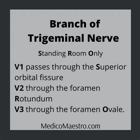 A Black And White Poster With The Words Branch Of Trigeminal Neve