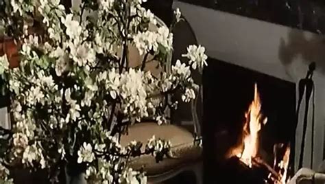 Free Invisible Porn Videos Xhamster