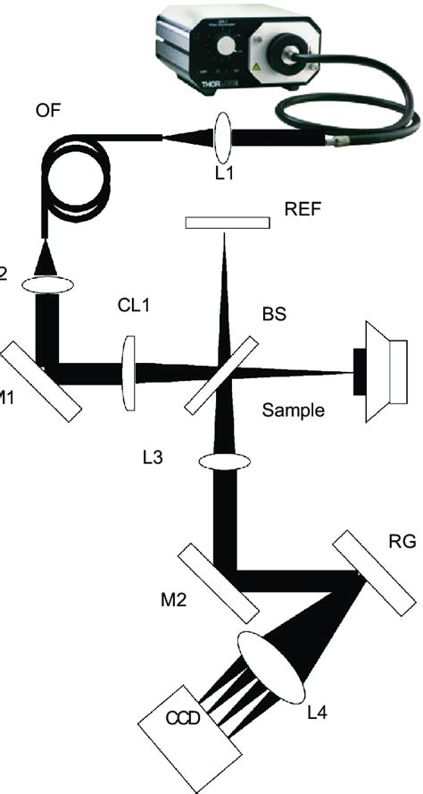 the schematic diagram of a developed two dimensional optical coherence
