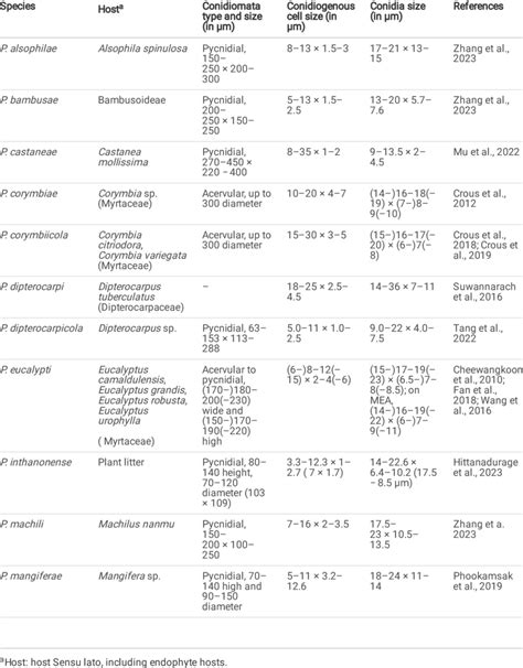 Asexual Morphological Features Of Pseudoplagiostoma Species Download Scientific Diagram