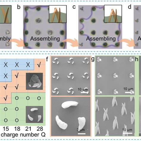 The Assembling Process And Results Of The 3d Chiral Microstructures Download Scientific