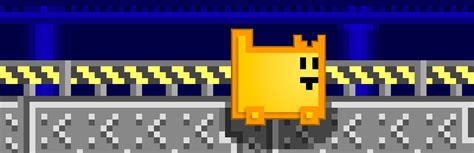 Box Cat Bash Press Kit