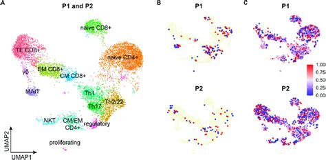 Targeted Sequencing Substantially Increases The Number Of Cells With Download Scientific